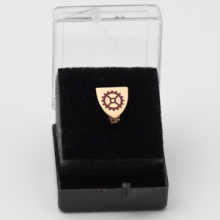 Pledge Pins (package of 5 pins) – Theta Tau Online Store