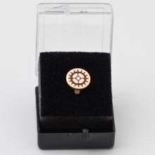 Candidate Chapter Pledge Pins (package of 5 pins) – Theta Tau Online Store